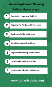 Snowdrop Flower Meaning - Surprising Facts You Must Know!