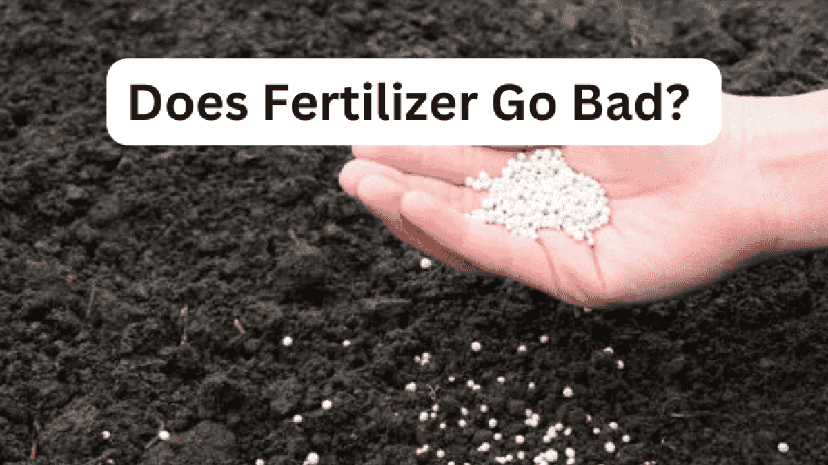 Fertilizer Expiry Scandal: What the Industry Isn’t Telling You — And 10 ...