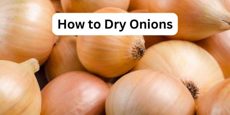 How to Dry Onions - Comprehensive Methods and Storage Tips
