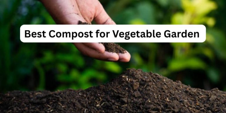 Best Compost for Vegetable Garden - A Must-Have Guide