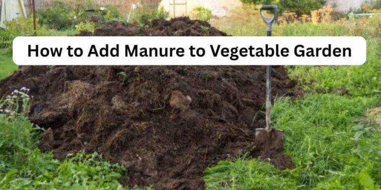 How to Add Manure to Vegetable Garden for Faster Growth
